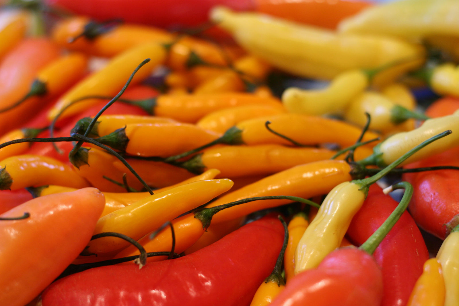 #AlChile: El ingrediente que los mexicanos convirtieron en símbolo patrio