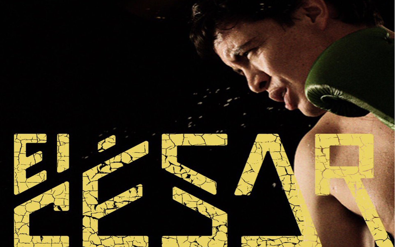 #ElCésar: Crónica de una leyenda del boxeo que renació como el fénix