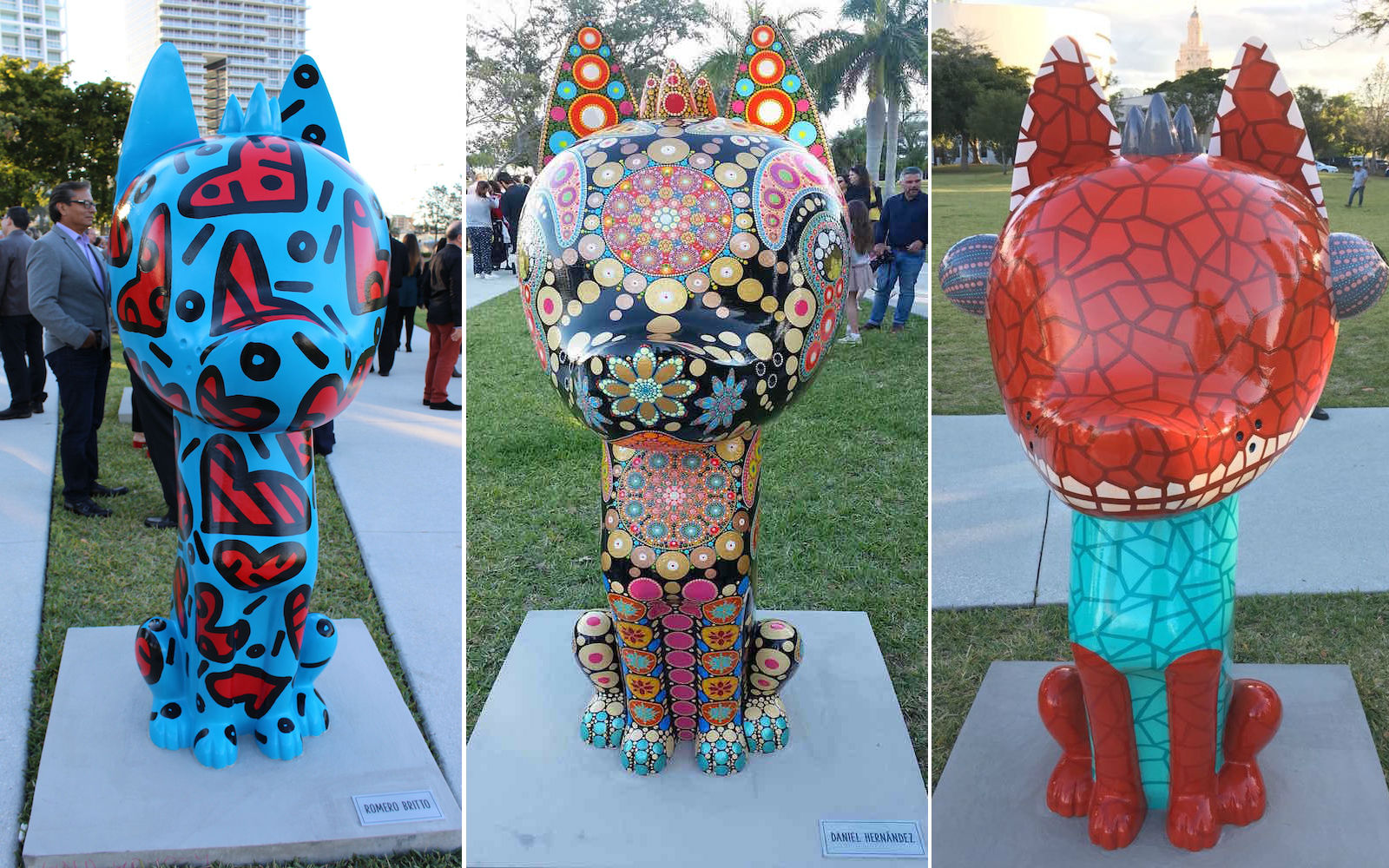 #XicoEnMiami: La hermosa historia de Xico, el perrito azteca