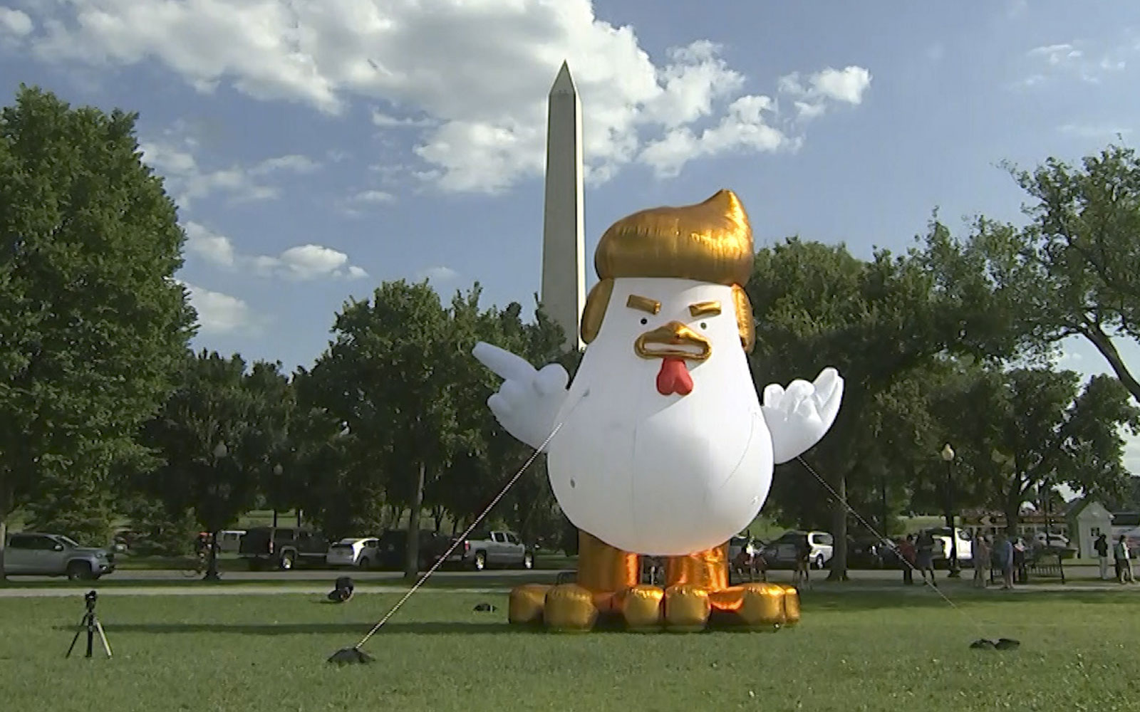 #TrumpChicken: Una gallina "tomó el lugar" de Trump en Washington ...