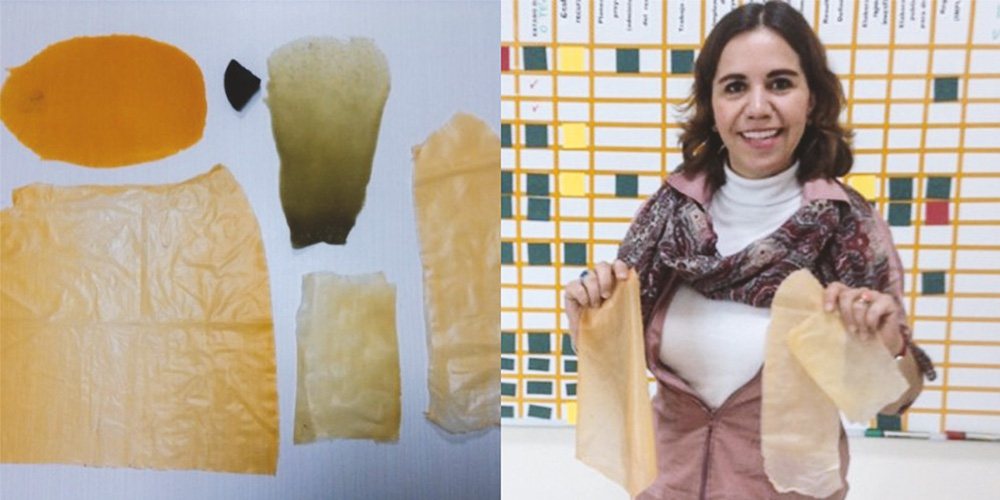 Mexicana desarrolla fórmula para crear plástico biodegradable a base de ...