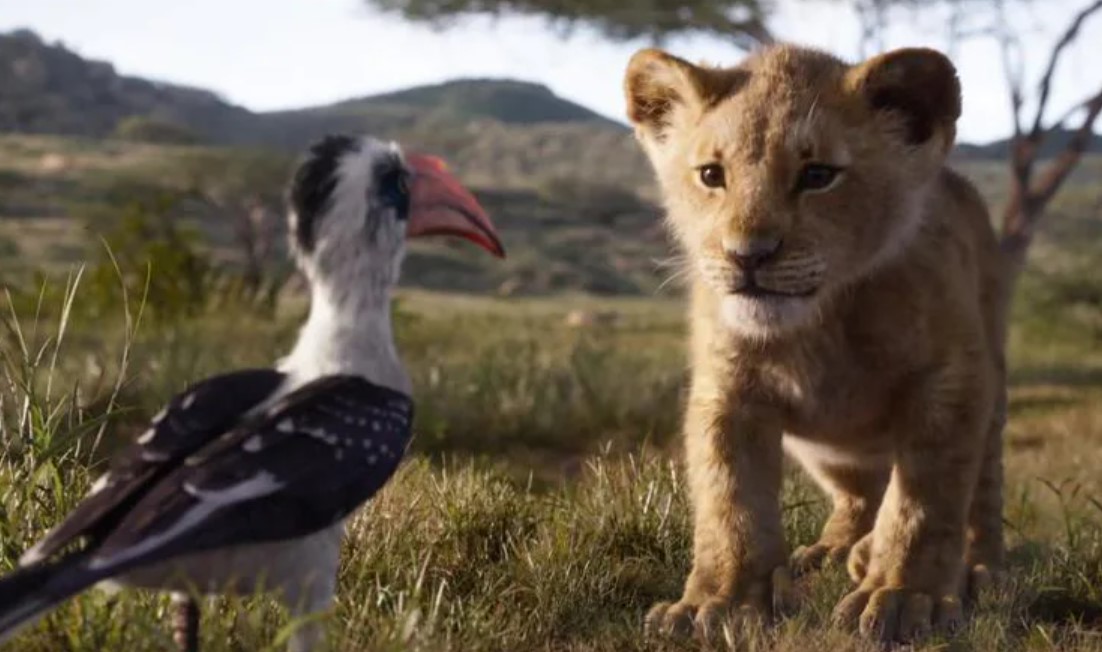 el rey leon – Barrio