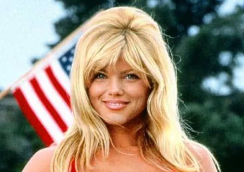 Donna-D'Errico – Barrio