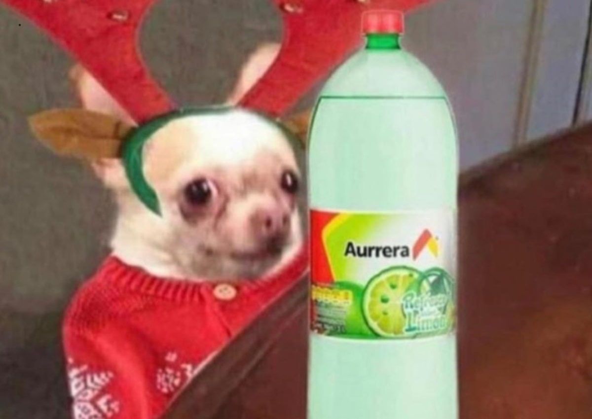 Los mejores memes de las reuniones de Navidad – Barrio